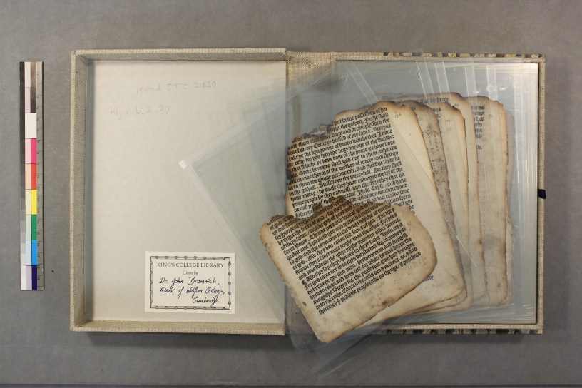 The Boke Named the Royall | King's Treasures